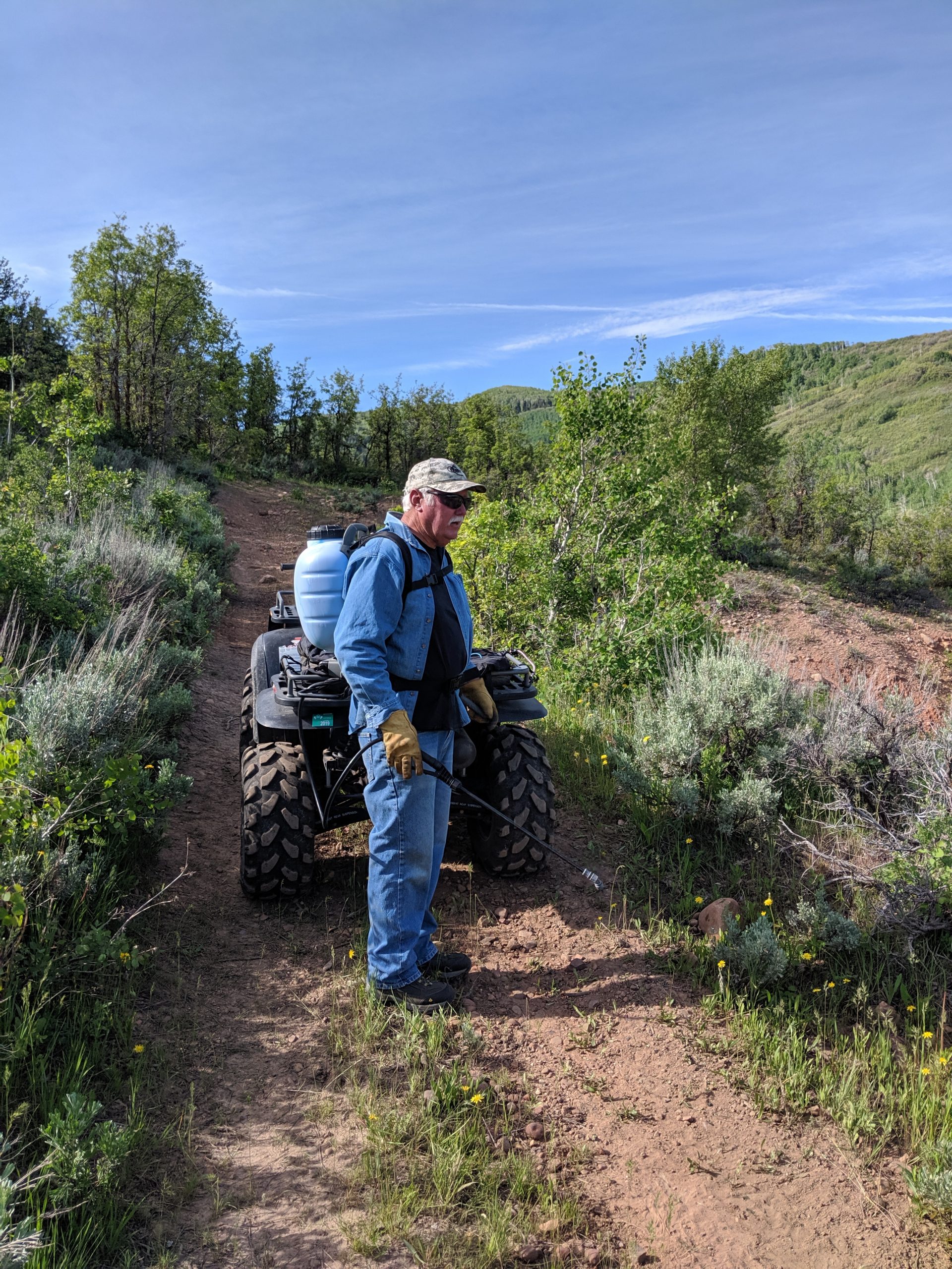 Causey Knapweed SGMA – UWSA